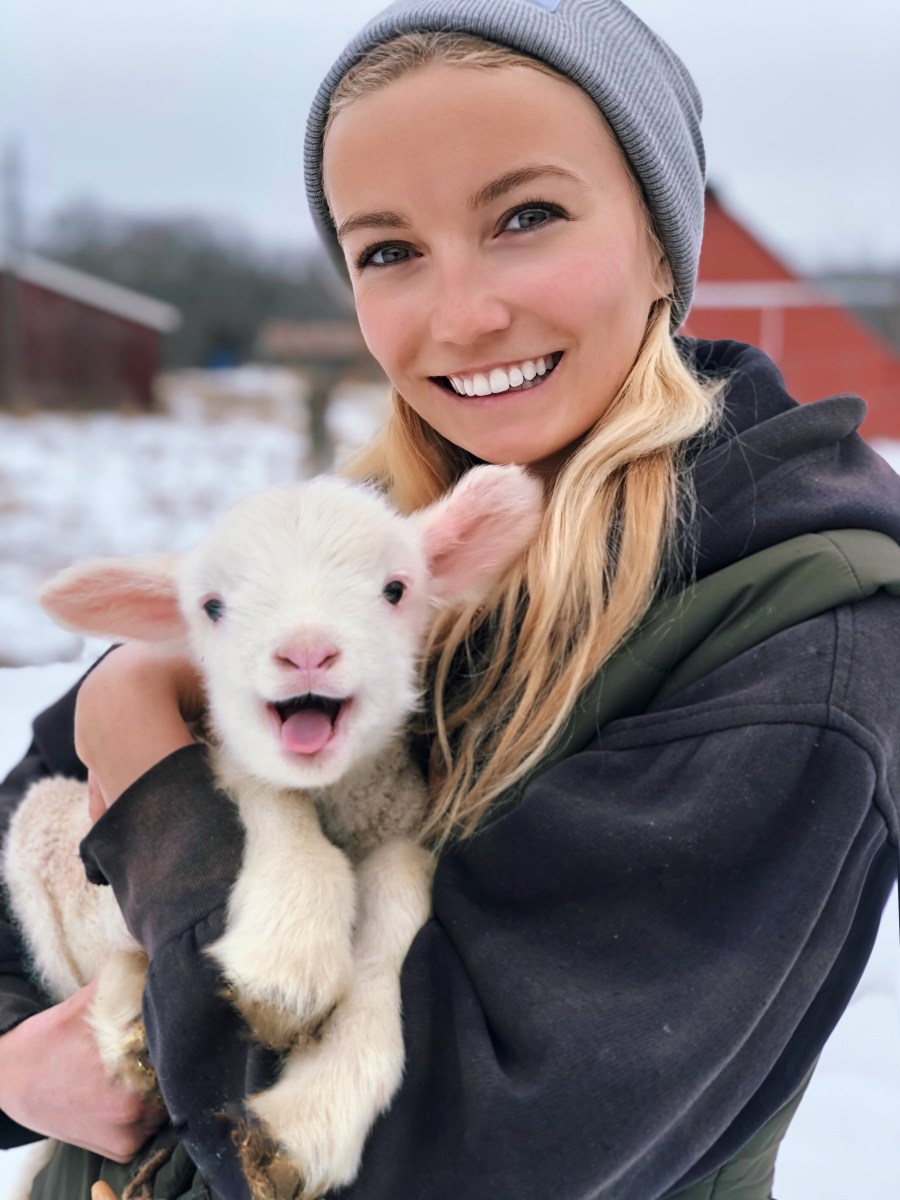 Tips for Artificial Rearing of Lambs/Kids – Nebraska Sheep & Goat ...