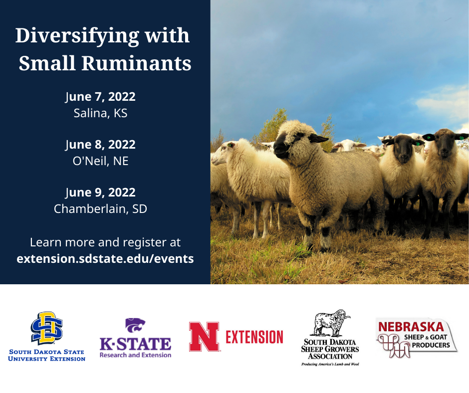 Diversifying with Small Ruminants – Nebraska Sheep & Goat Producer ...