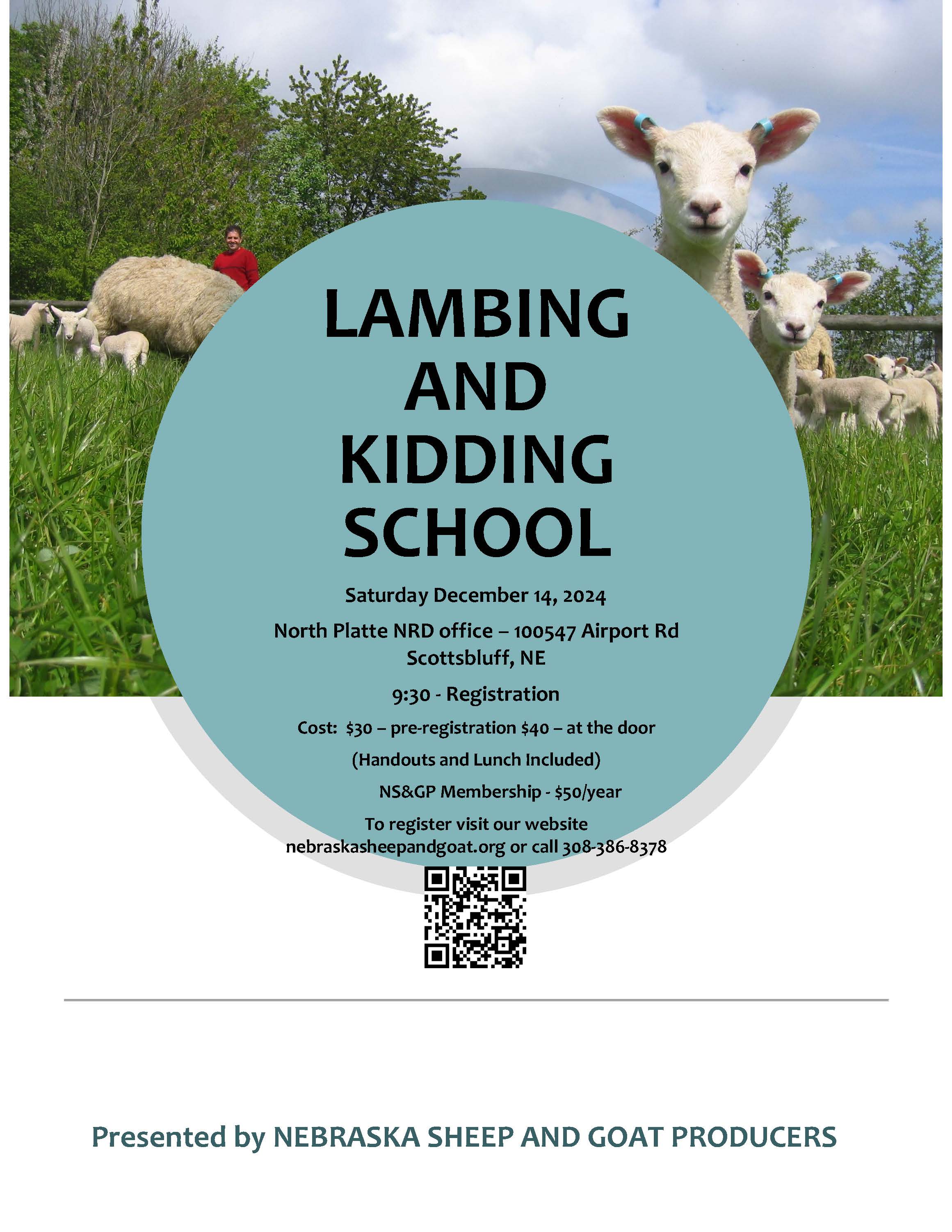 Nebraska Sheep & Goat Producer Association – Supporting, Promoting and ...